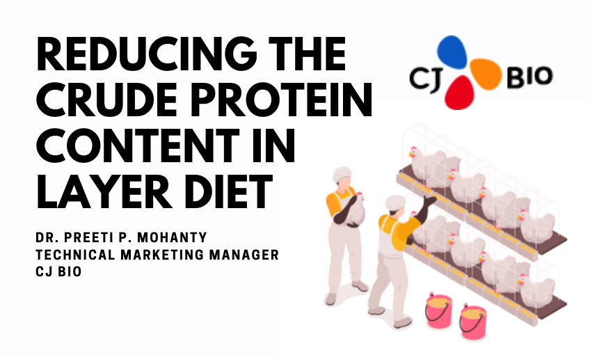 Reducing the crude protein content in layer diet - SR Publications