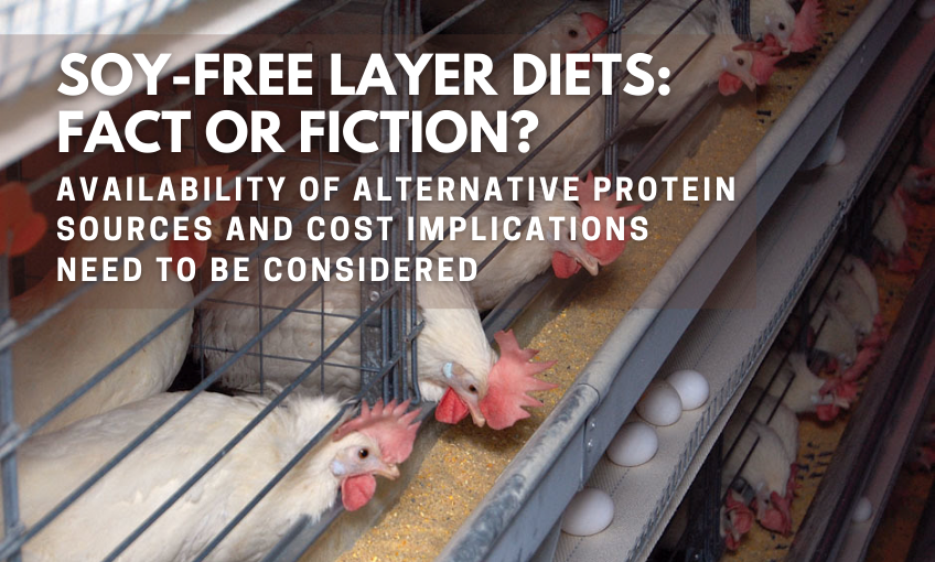 Soy-free layer diets: Fact or fiction? - SR Publications