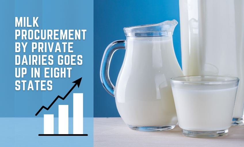 Milk Procurement By Private Dairies Goes Up In Eight States - SR ...