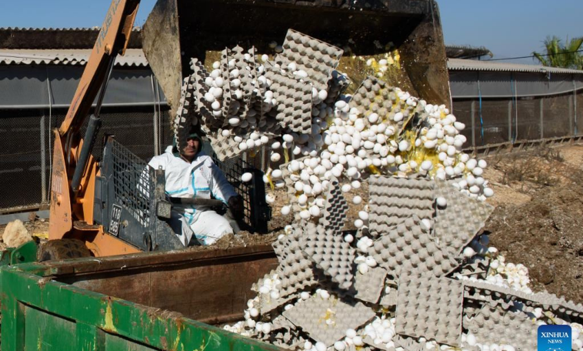 Why Bird Flu Outbreaks in Winter Season? - SR Publications