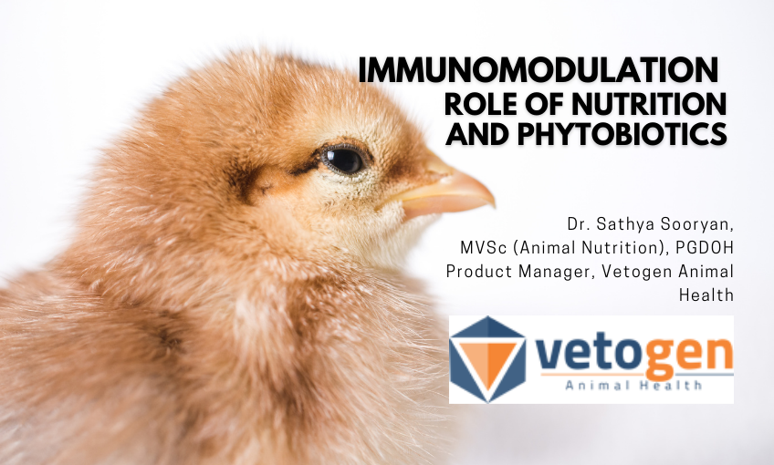 Immunomodulation - Role of Nutrition and Phytobiotics - SR Publications