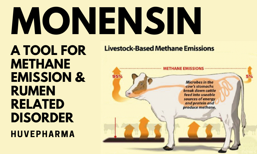 Monensin - A Tool for Methane Emission & Rumen Related Disorder - SR ...