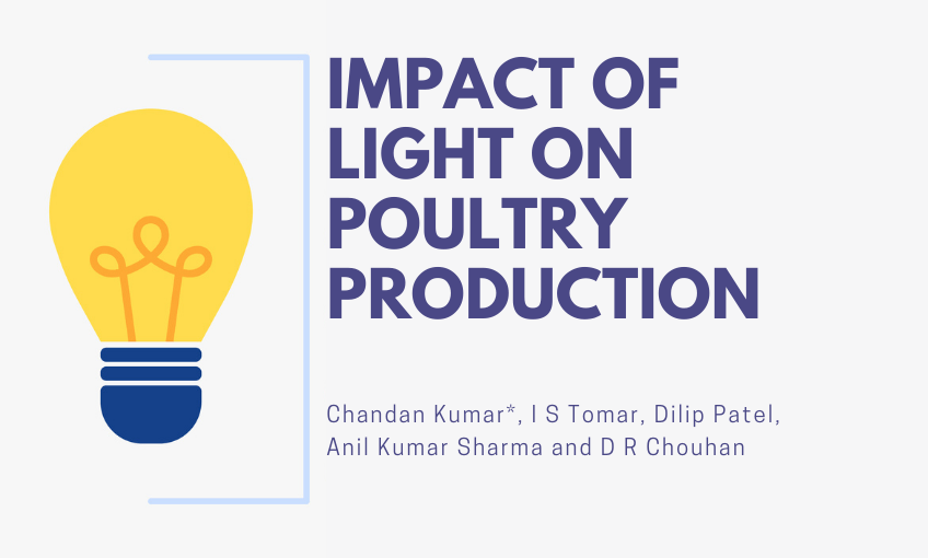 IMPACT OF LIGHT ON POULTRY PRODUCTION - SR Publications