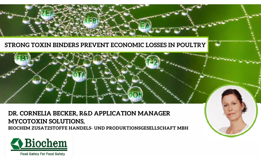 Strong toxin binders prevent economic losses in poultry - SR Publications