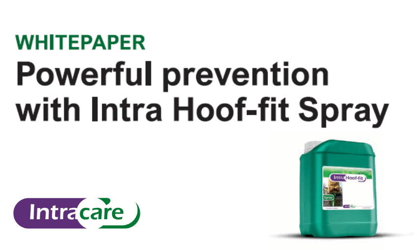 WHITEPAPER Powerful prevention with Intra Hoof-fit Spray - SR Publications