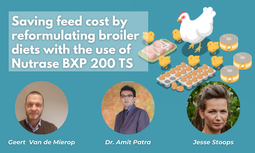 Saving feed cost by reformulating broiler diets with the use of Nutrase ...