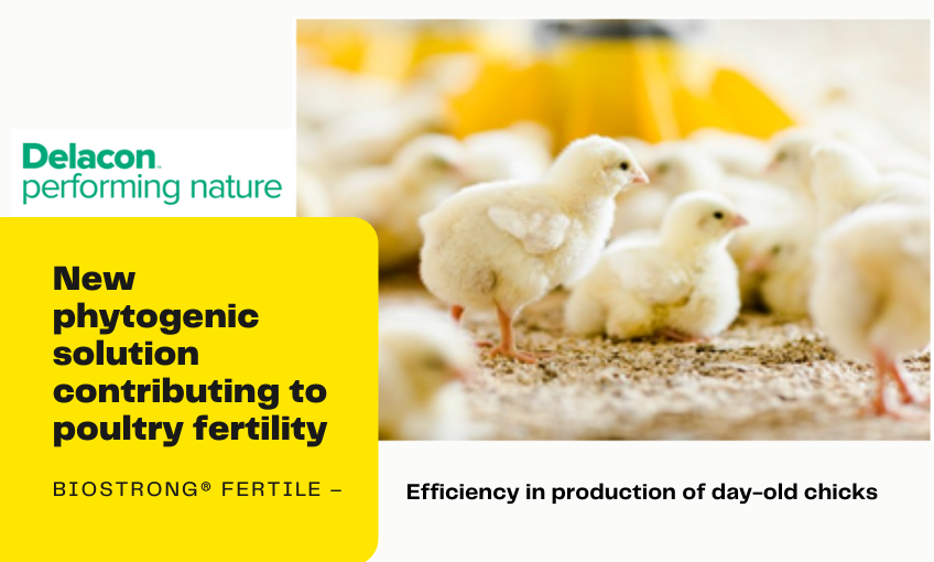 New phytogenic solution contributing to poultry fertility - SR Publications