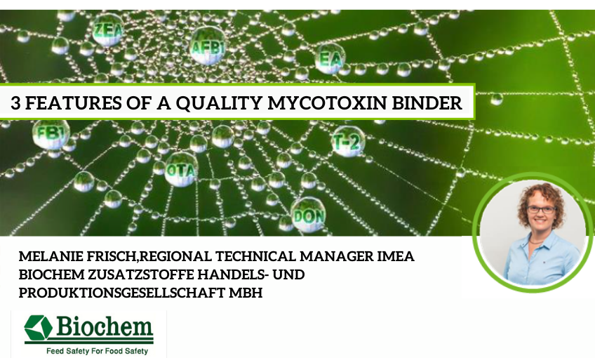 3 Features of a Quality Mycotoxin Binder - SR Publications