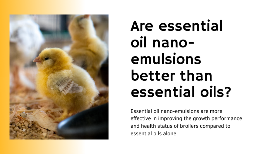 Are essential oil nano-emulsions better than essential oils? - SR ...