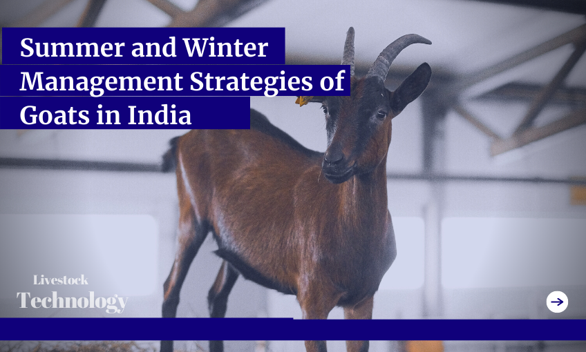 Summer and Winter Management Strategies of Goats in India - SR Publications