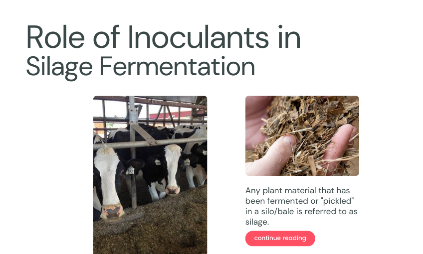 Role of Inoculants in Silage Fermentation - SR Publications