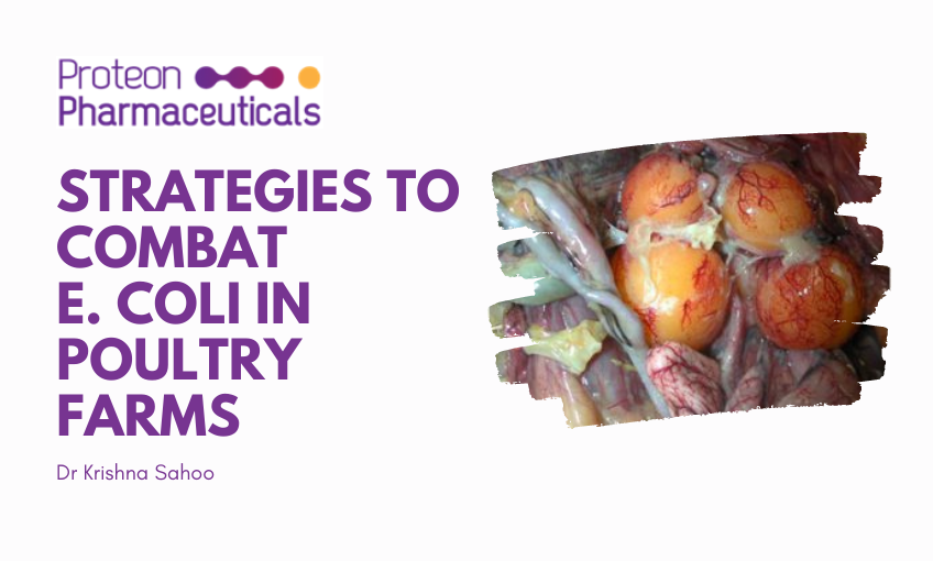 STRATEGIES TO COMBAT E. COLI IN POULTRY FARMS - SR Publications