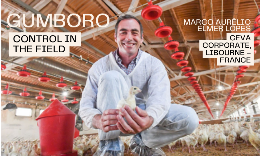 Gumboro control in the field - SR Publications