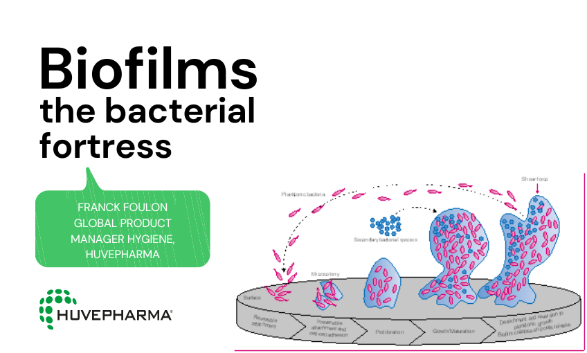 Biofilms: The Bacterial Fortress - SR Publications