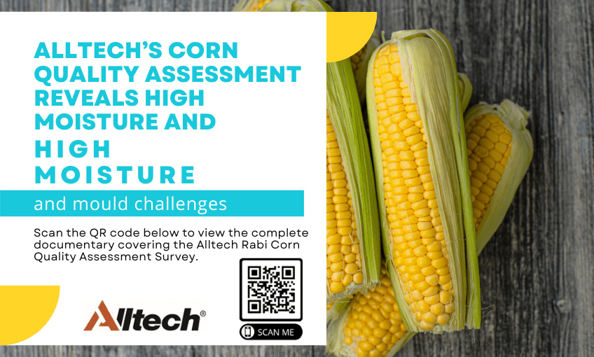 Alltech’s Corn Quality Assessment reveals high moisture and mould ...