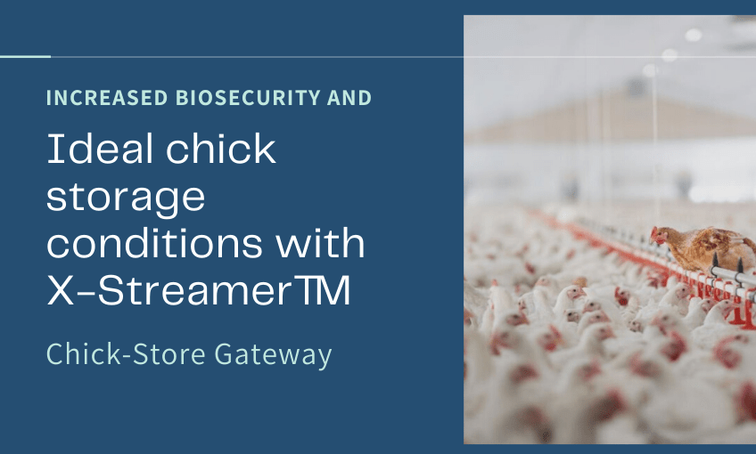 Increased biosecurity and ideal chick storage conditions with X ...