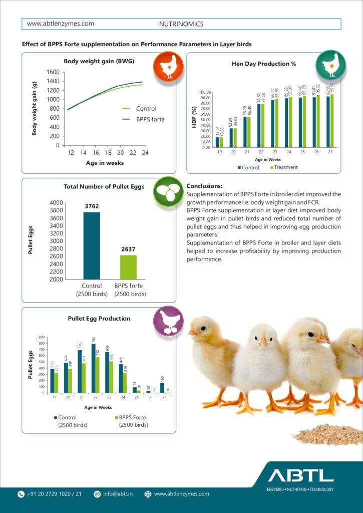 Use of hydrolyzed bioactive protein peptides in poultry feed to improve ...
