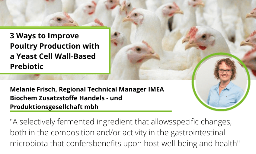 3 Ways to Improve Poultry Production with a Yeast Cell Wall-Based ...