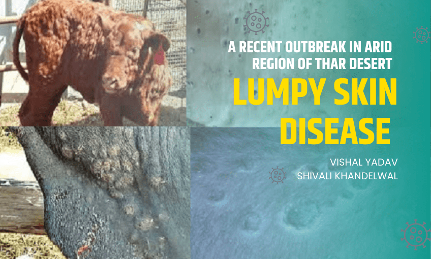 Lumpy Skin Disease: A Recent Outbreak in Arid Region of Thar Desert ...