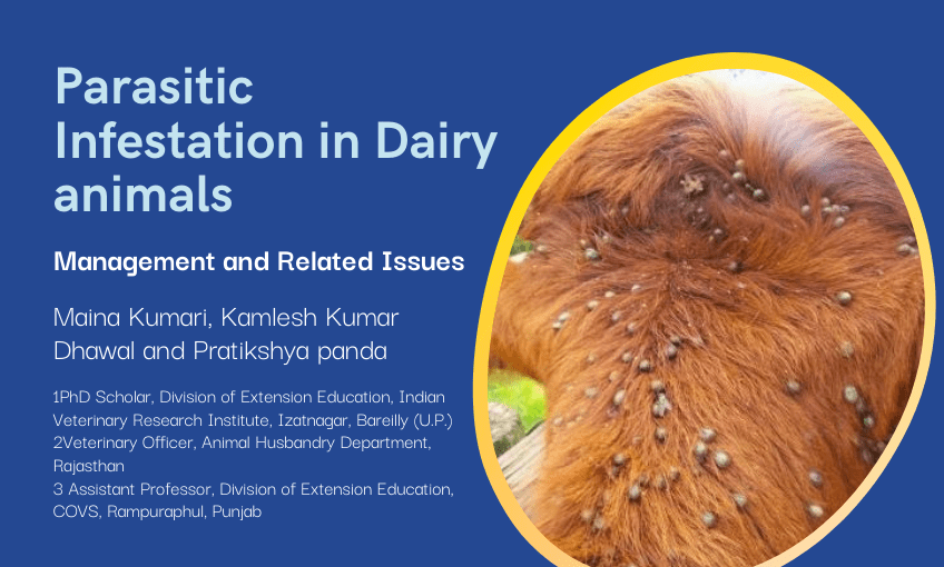 Parasitic Infestation in Dairy animals: Management and Related Issues ...