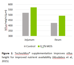 3 Ways to Improve Poultry Production with a Yeast Cell Wall-Based ...
