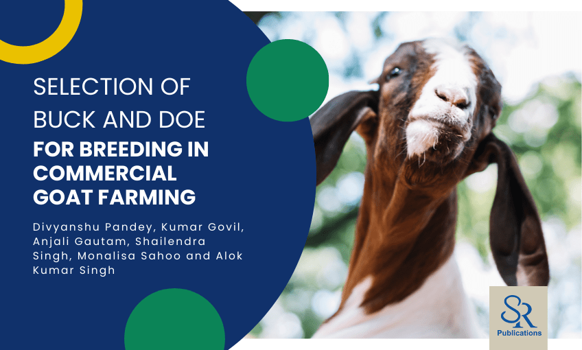 Selection of buck and does for breeding in commercial goat farming - SR ...