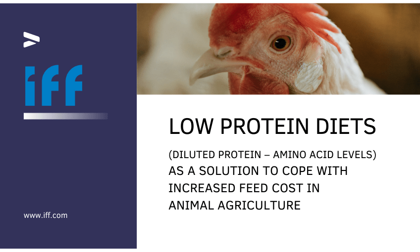 LOW PROTEIN DIETS (DILUTED PROTEIN – AMINO ACID LEVELS) AS A SOLUTION ...