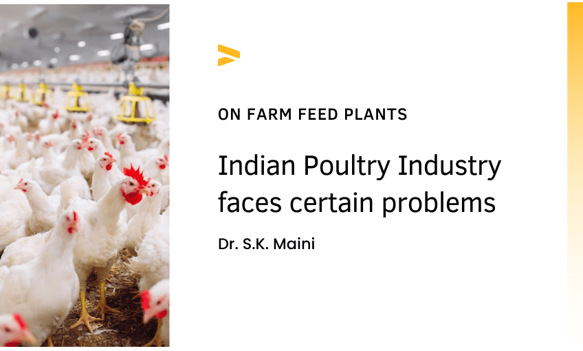 Indian Poultry Industry faces certain problems (On Farm Feed Plants ...