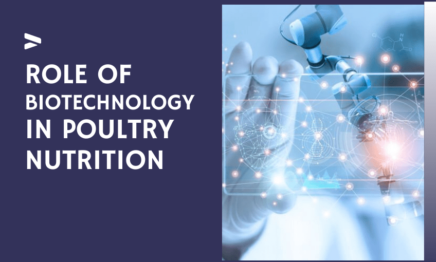 Role Of Biotechnology In Gene Therapy at Tracy Macias blog