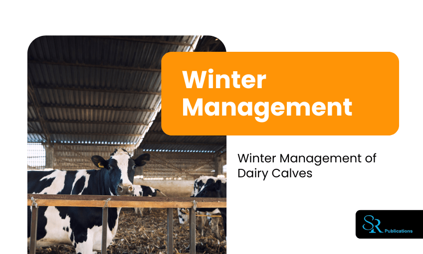 Nutritional Management During Sub Acute Ruminal Acidosis In Dairy