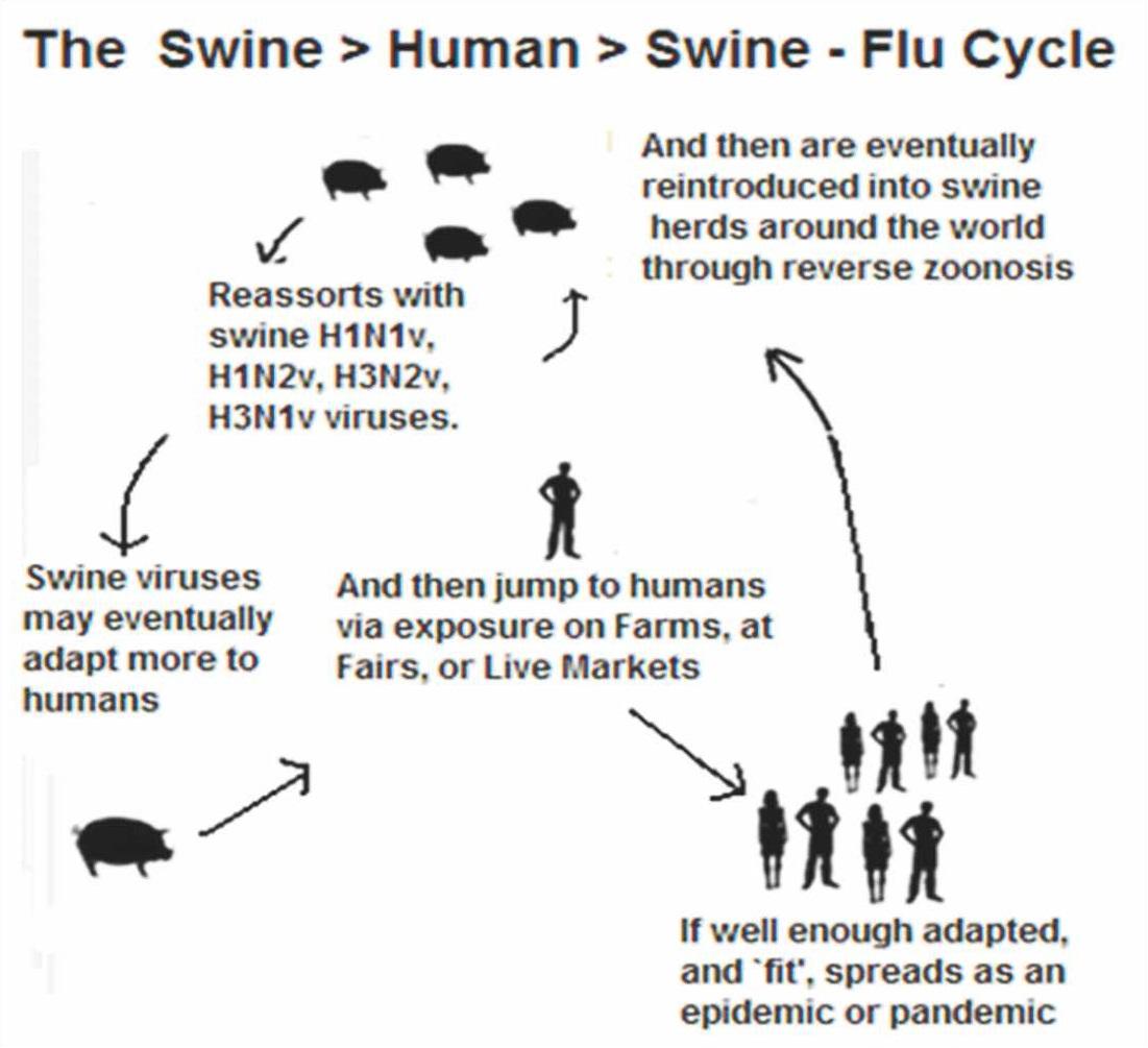 Swine Flu and its outbreaks - SR Publications