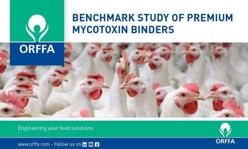 BENCHMARK STUDY OF PREMIUM MYCOTOXIN BINDERS - SR Publications