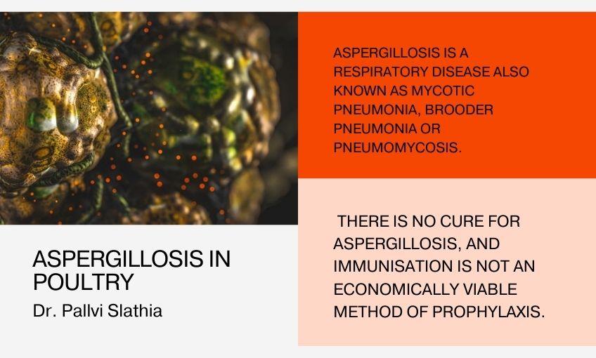 Aspergillosis in Poultry - SR Publications
