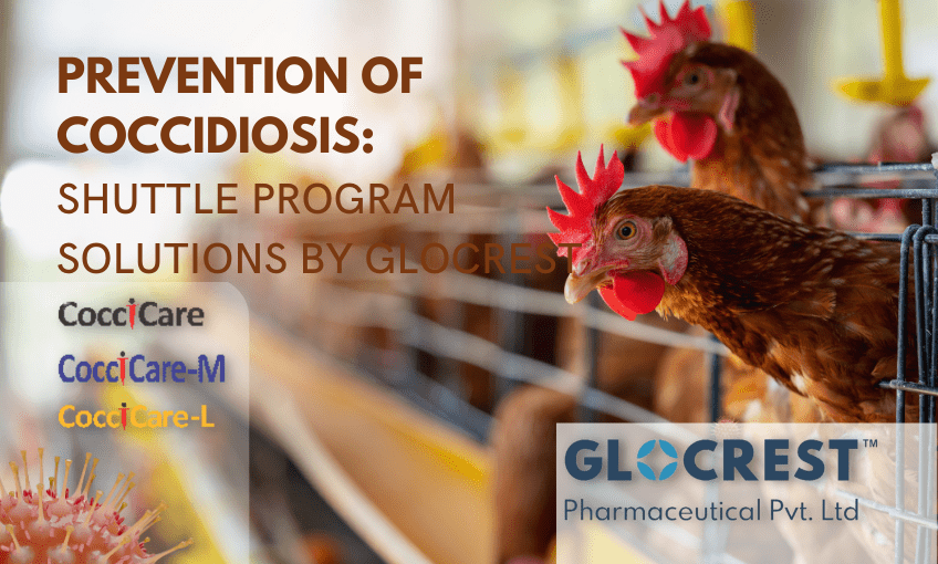 Prevention of Coccidiosis: Shuttle Program Solutions by GLOCREST - SR ...