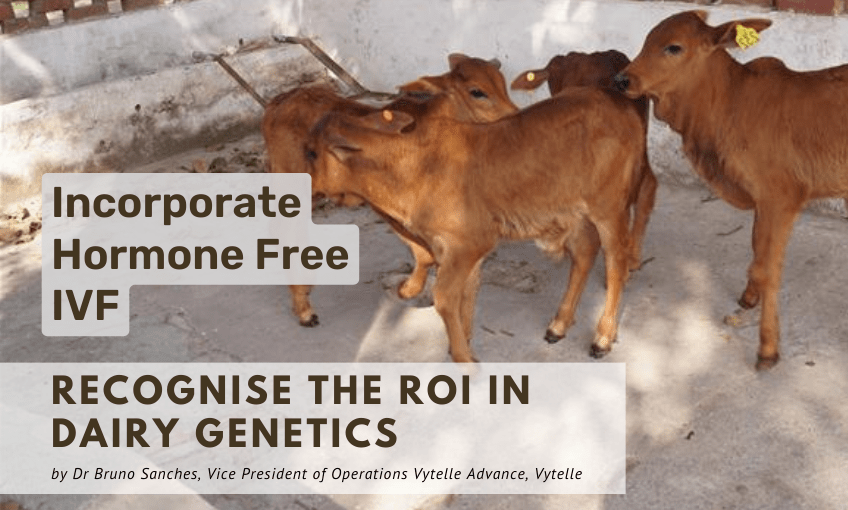 Incorporate Hormone Free IVF and Recognise The ROI in Dairy Genetics ...