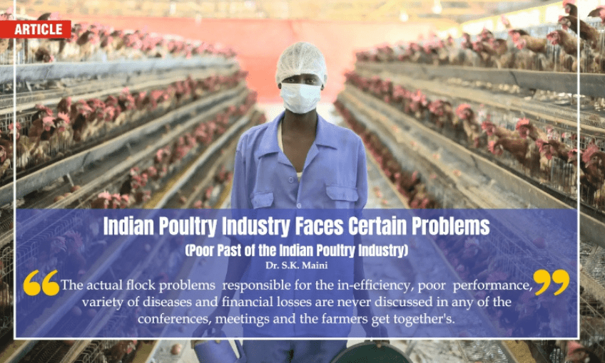 Indian Poultry Industry Faces Certain Problems - SR Publications