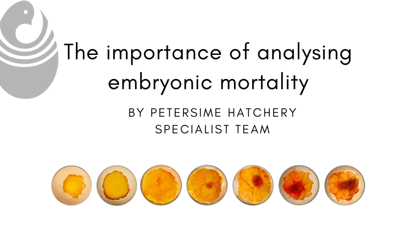 The importance of analysing embryonic mortality - SR Publications
