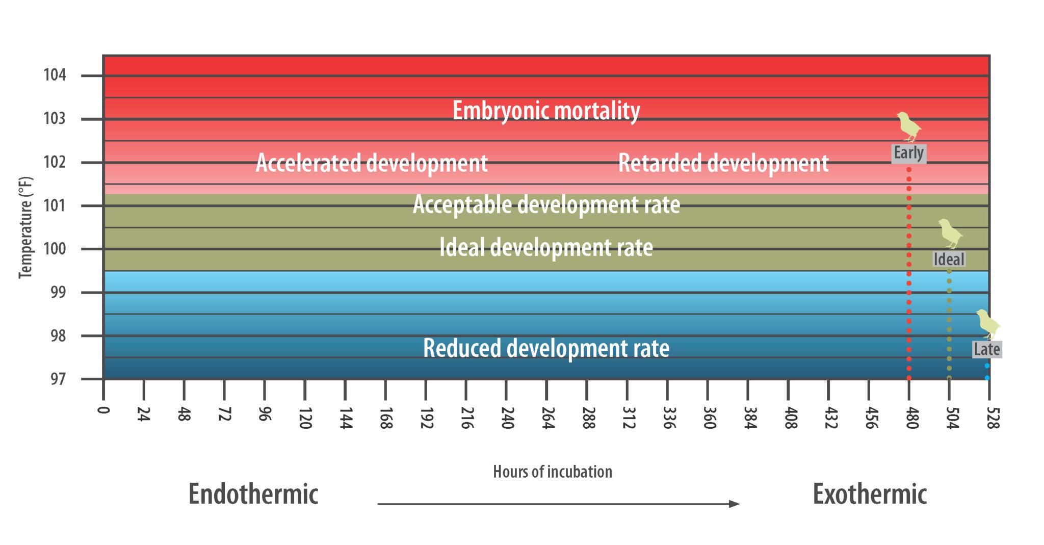 The importance of analysing embryonic mortality - SR Publications