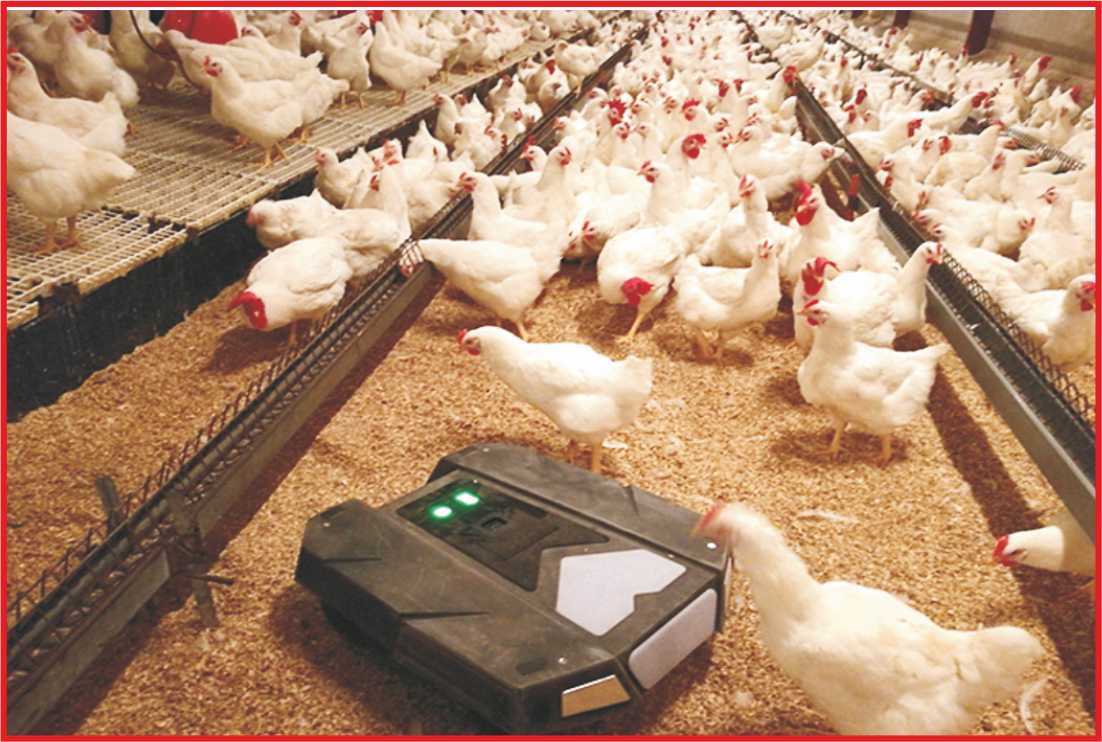 Modern innovations in Poultry Farming - SR Publications