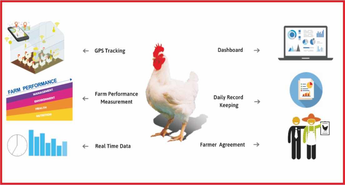 Modern innovations in Poultry Farming - SR Publications