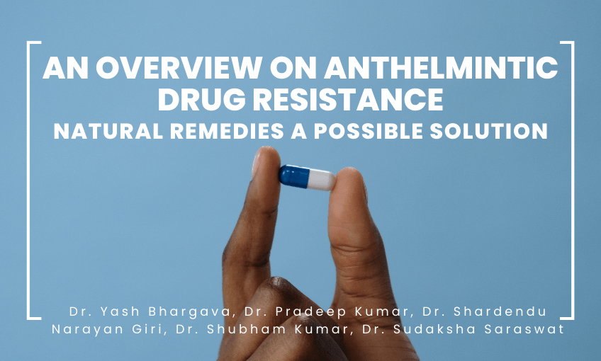 AN OVERVIEW ON ANTHELMINTIC DRUG RESISTANCE AND NATURAL REMEDIES A ...