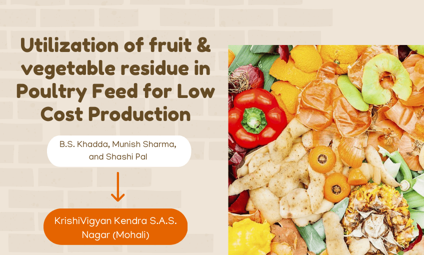 Utilization of fruit & vegetable residue in Poultry Feed for Low Cost ...