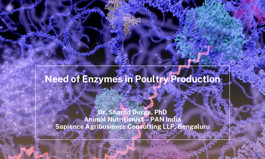 Need of Enzymes in Poultry Production - SR Publications
