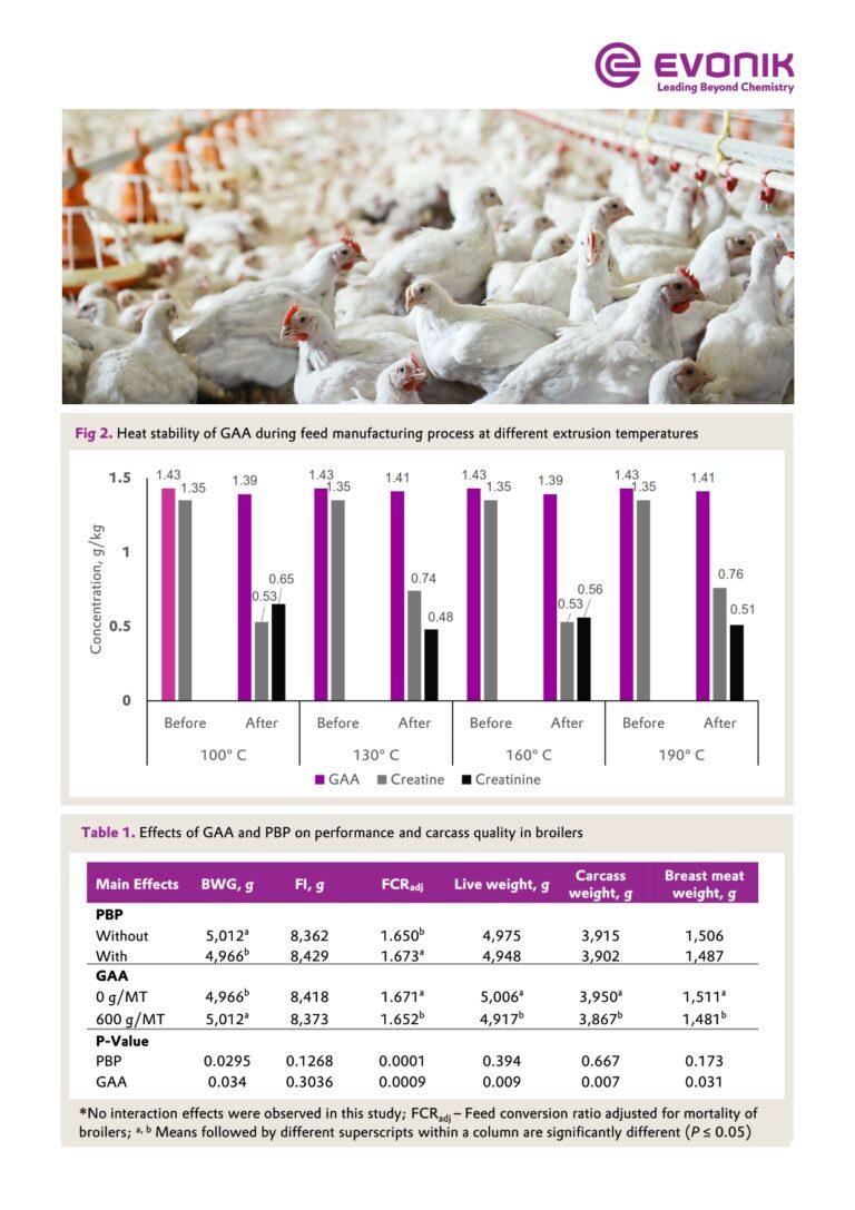 Guanidino acetic acid improved performance and carcass quality in modern broiler - SR Publications