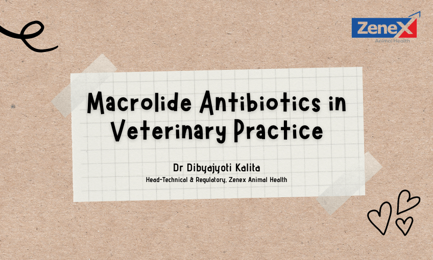 Macrolide Antibiotics in Veterinary Practice - SR Publications
