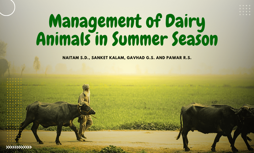 MANAGEMENT OF DAIRY ANIMALS IN SUMMER SEASON - SR Publications