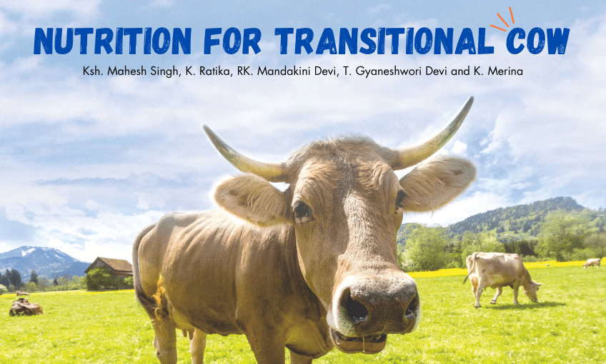 Nutrition for Transitional Cow - SR Publications