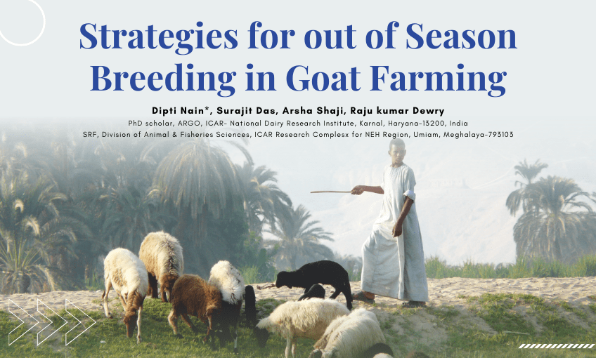 Strategies for Out of Season Breeding In Goat Farming - SR Publications