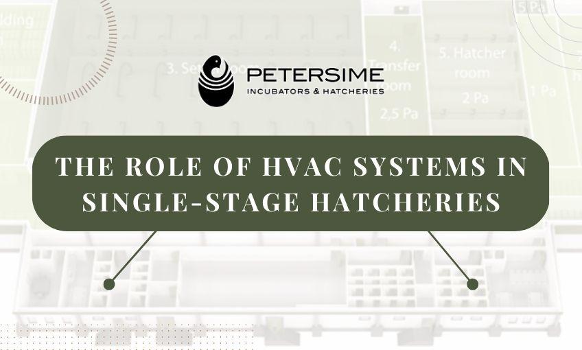 The Role of HVAC systems in Single-Stage Hatcheries - SR Publications