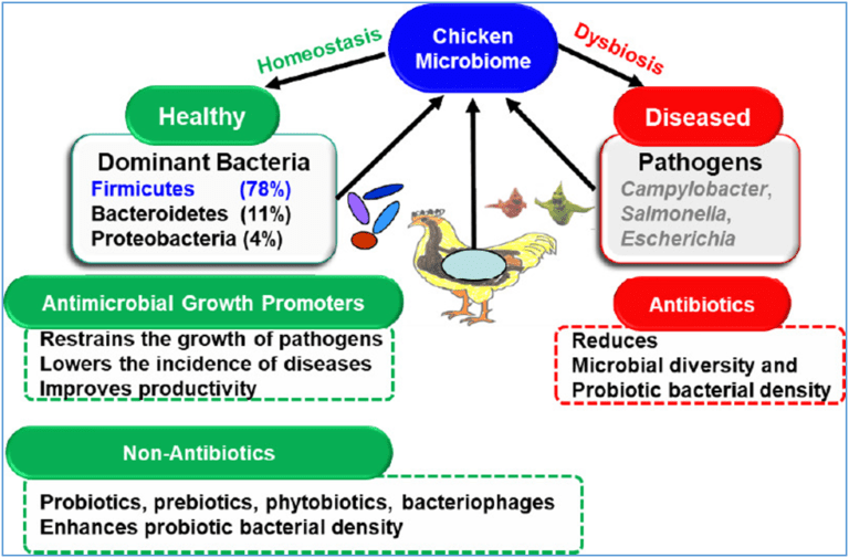 ALTERNATIVE STRATEGIES TO ANTIBIOTICS IN POULTRY PRODUCTION - SR ...